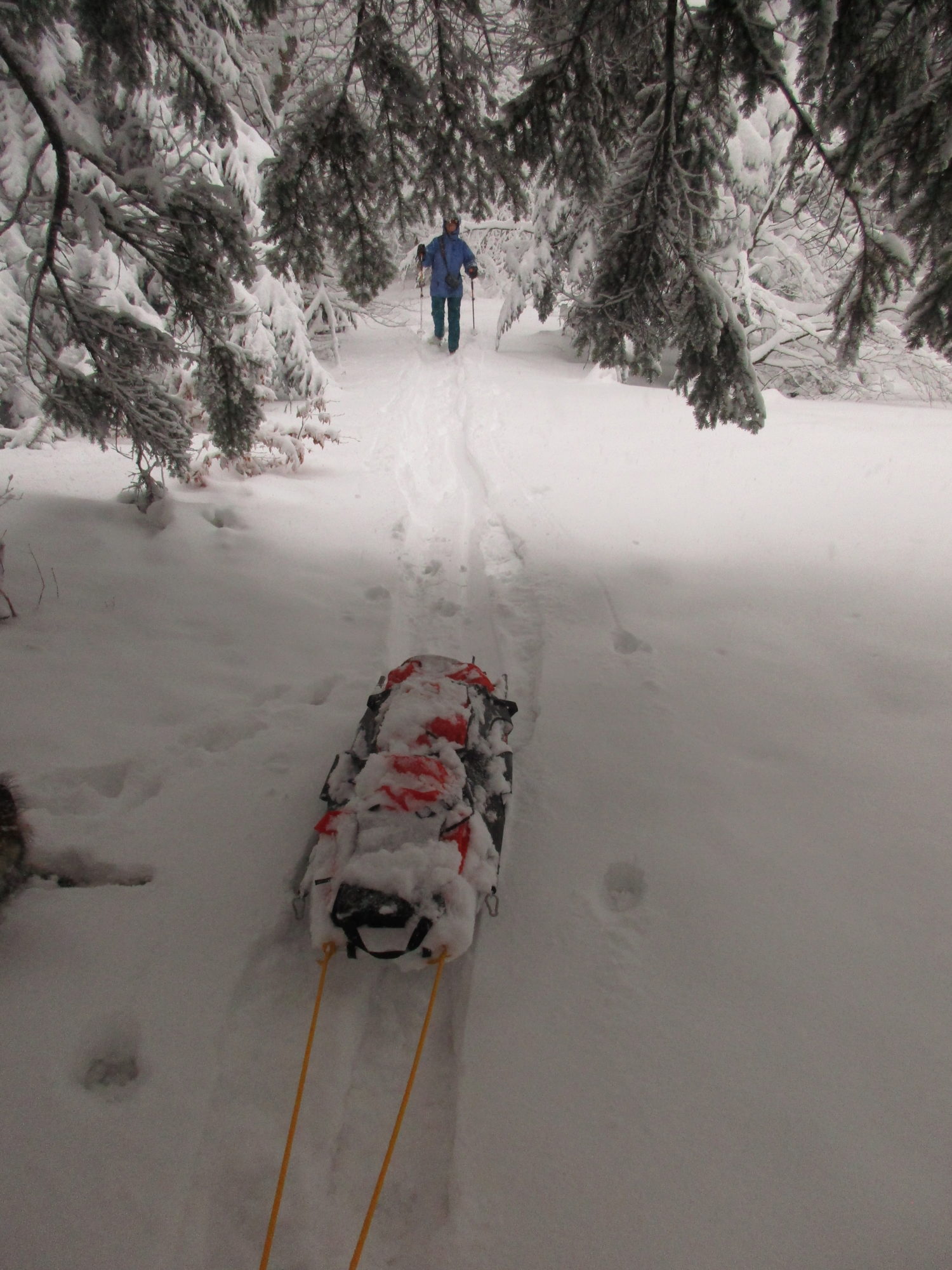 Pulka - Location matériel randonnée
